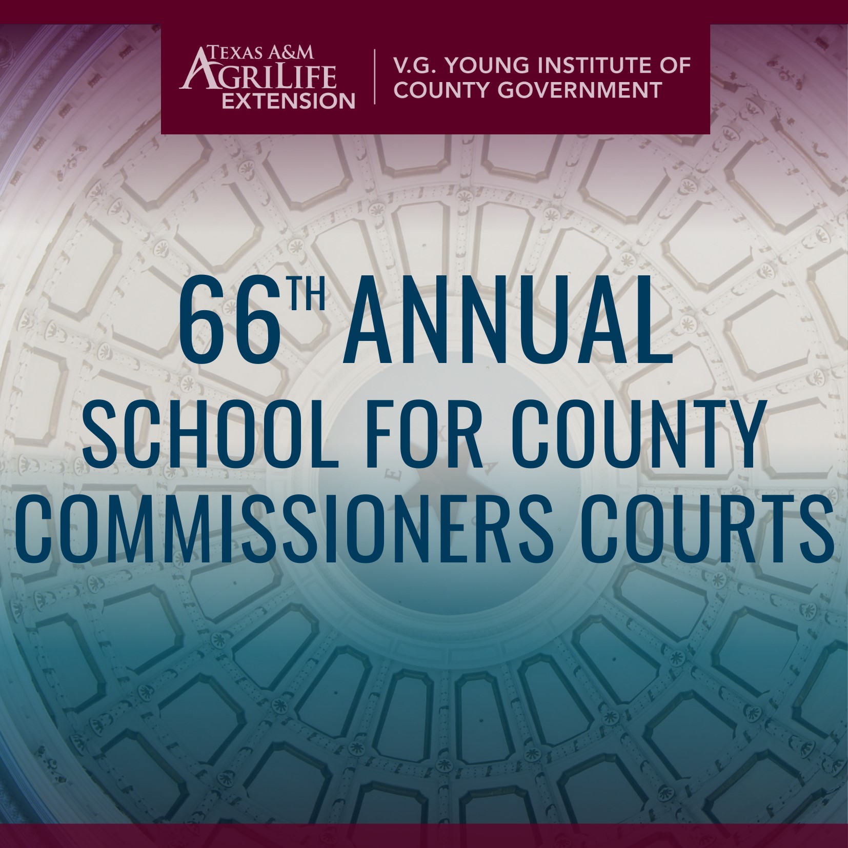 Texas Association of Counties